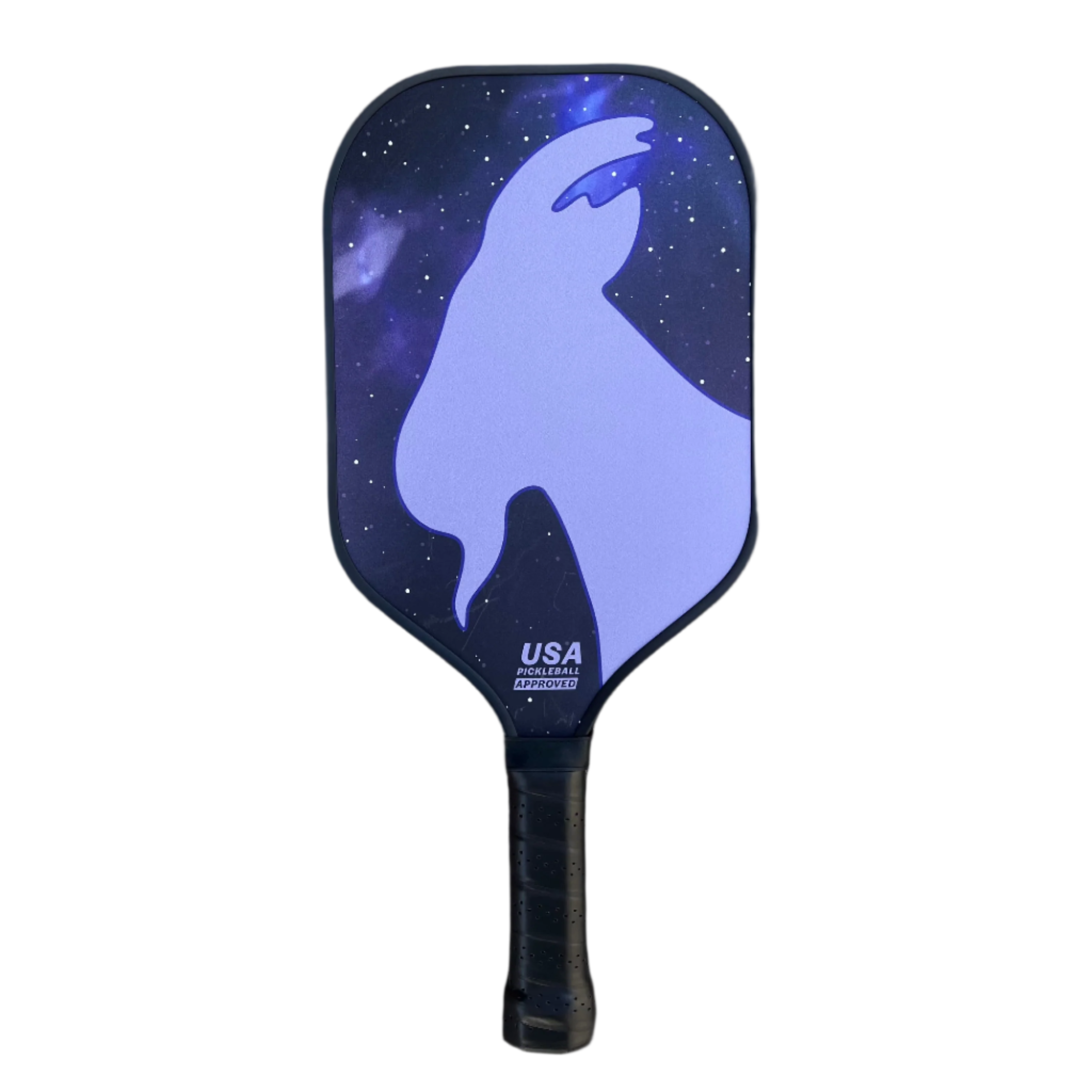 THE GALAXY PICKLEBALL PADDLE – The Golf Guys Online